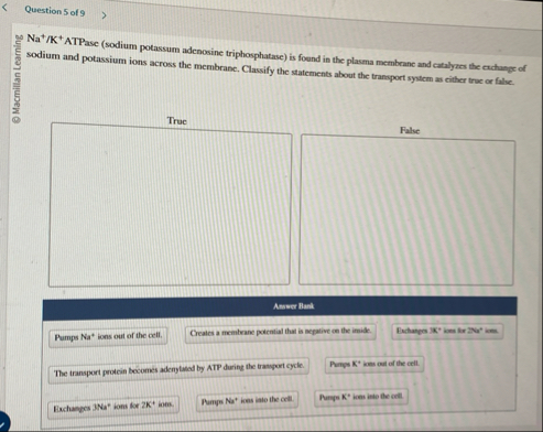Solved Question 5 ﻿of 9Na K ATPase (sodium potassum | Chegg.com