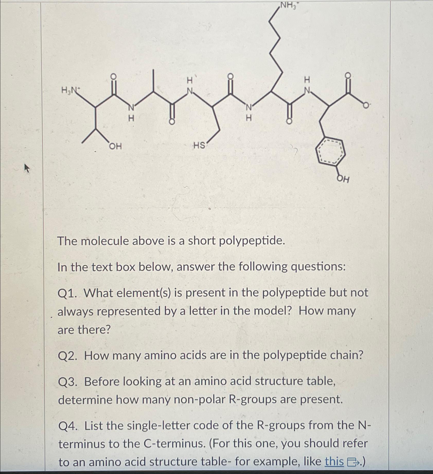 Solved The molecule above is a short polypeptide.In the text | Chegg.com