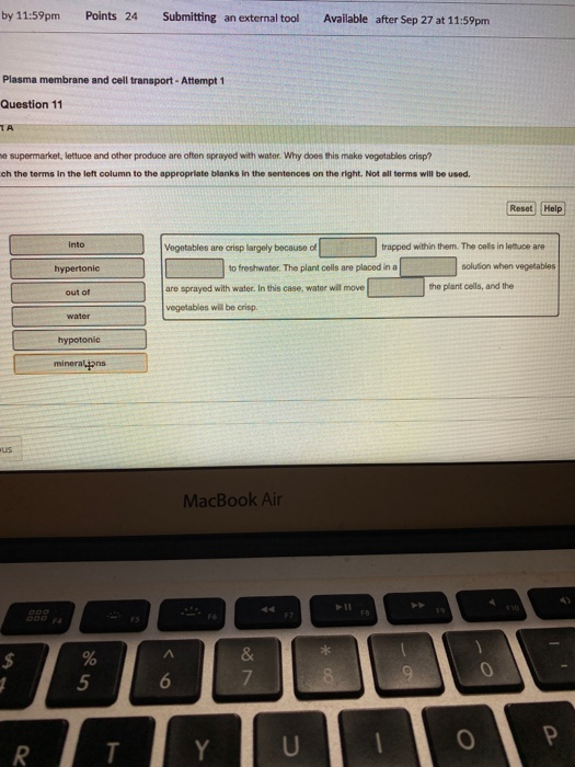 Solved by 11:59pm Points 24 Submitting an external tool | Chegg.com