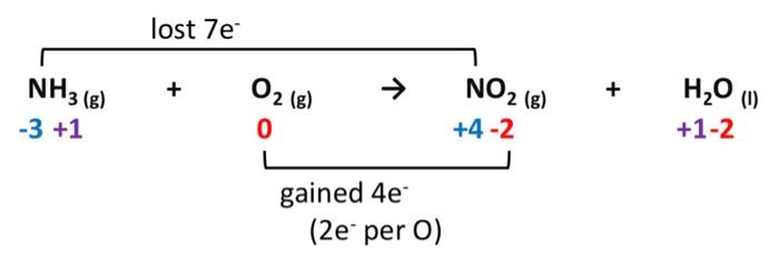 Solved Why do we compare the O of the NO2 and not the H2O | Chegg.com