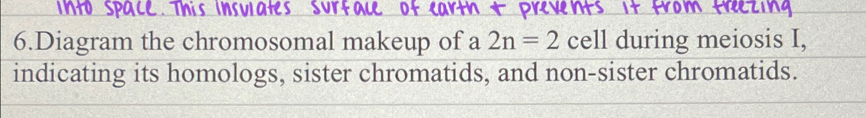 Solved 6.Diagram the chromosomal makeup of a 2n=2 ﻿cell | Chegg.com