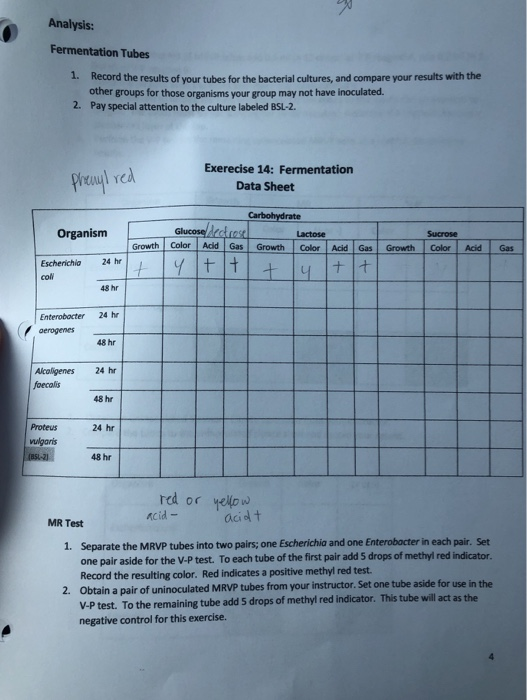 V-P Test 1. To the remaining set of MRVP tubes add | Chegg.com