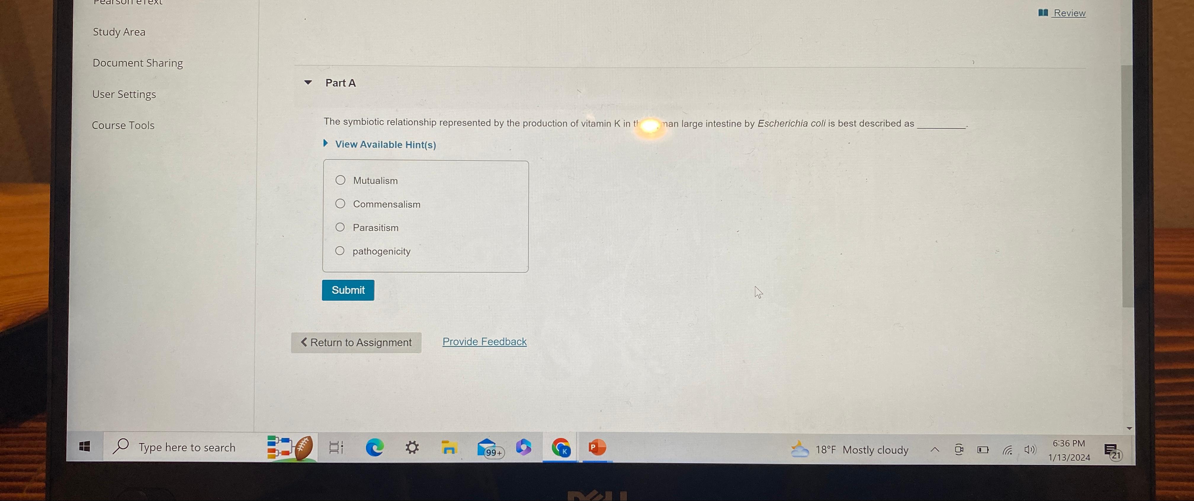 Solved Study AreaDocument SharingUser SettingsCourse | Chegg.com