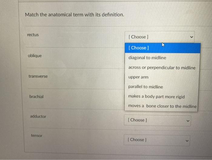 Solved Match the anatomical term with its definition. rectus | Chegg.com