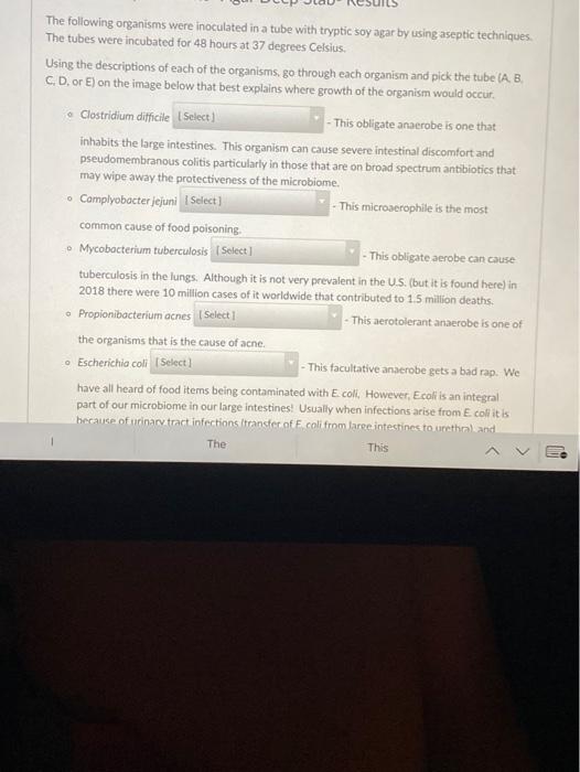Solved The following organisms were inoculated in a tube | Chegg.com