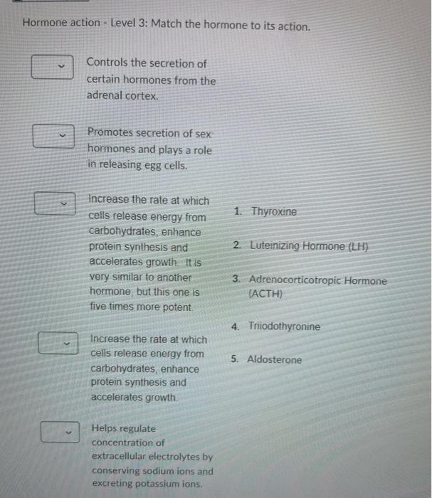Solved Other Endocrine Glands - Match the following | Chegg.com