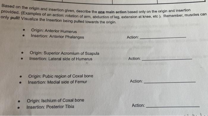 Solved Based on the origin and insertion given, describe the | Chegg.com
