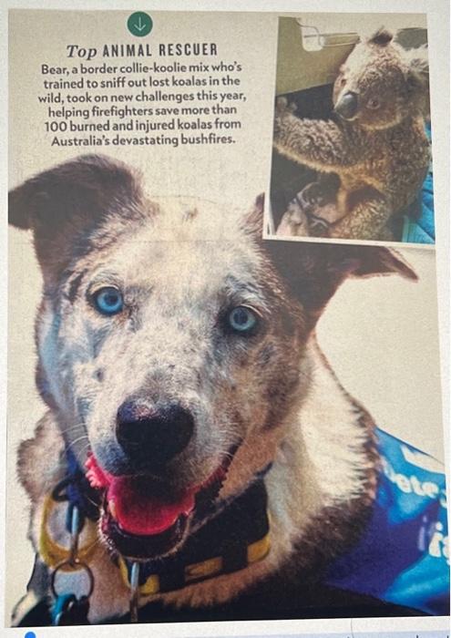 Solved Question 3: Please read the following description of | Chegg.com