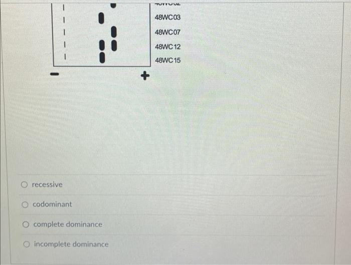 Solved The dominance spectrum match the genotype and | Chegg.com