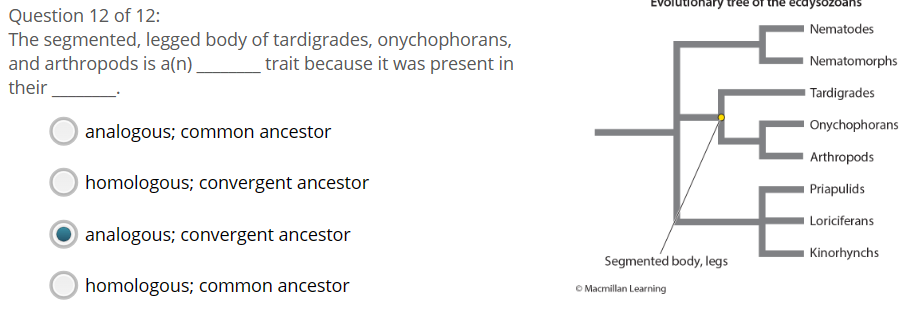 Solved Question 12 ﻿of 12 ﻿:The segmented, legged body of | Chegg.com