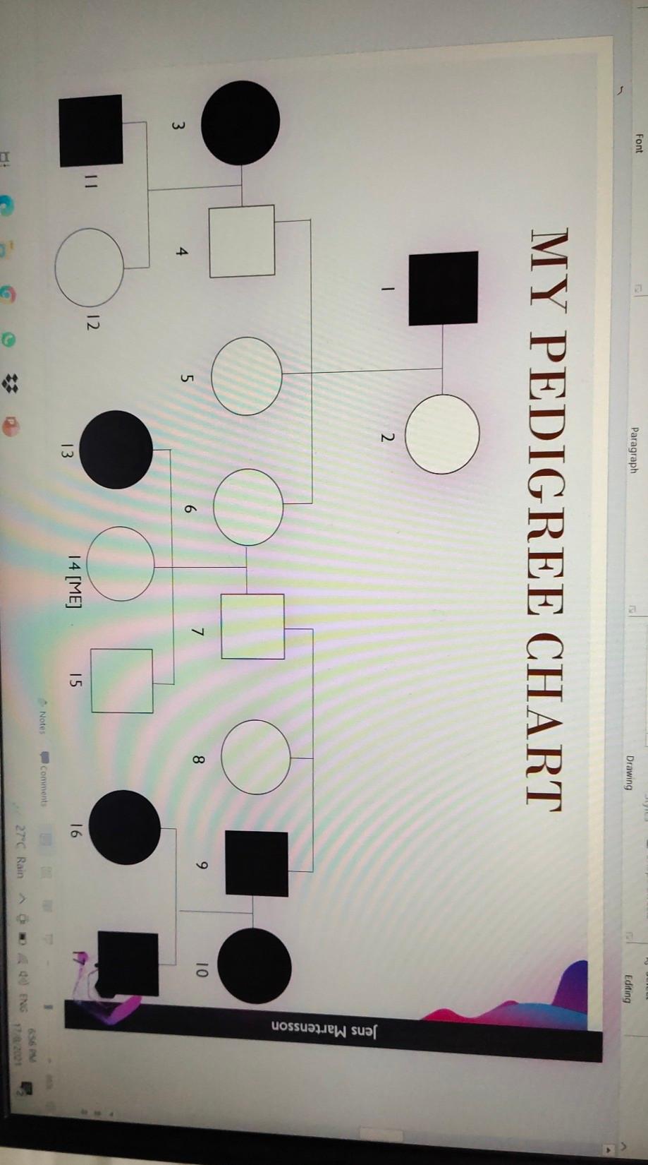 Solved Font Paragraph Drawing Editing MY PEDIGREE CHART 1 2 | Chegg.com