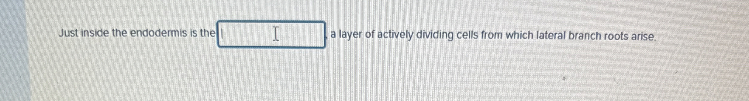 Solved Just inside the endodermis is thea layer of actively | Chegg.com