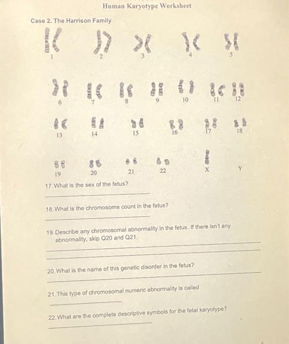 Solved Case 2. The Harrison Family K 1( )) > >