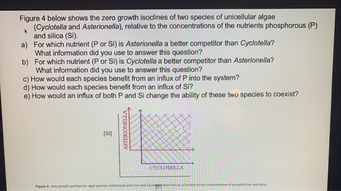 Solved Figure 4 below shows the zero growth isoclines of two | Chegg.com