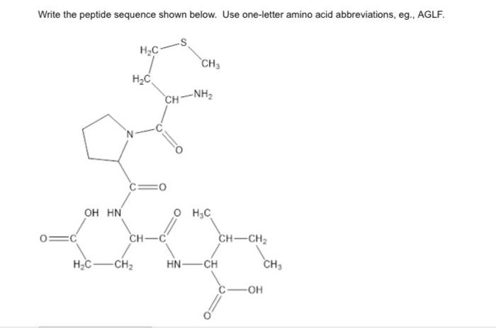 Solved Write the peptide sequence shown below. Use | Chegg.com