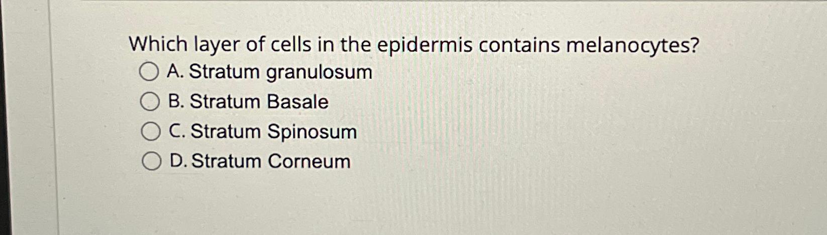 Solved Which layer of cells in the epidermis contains | Chegg.com