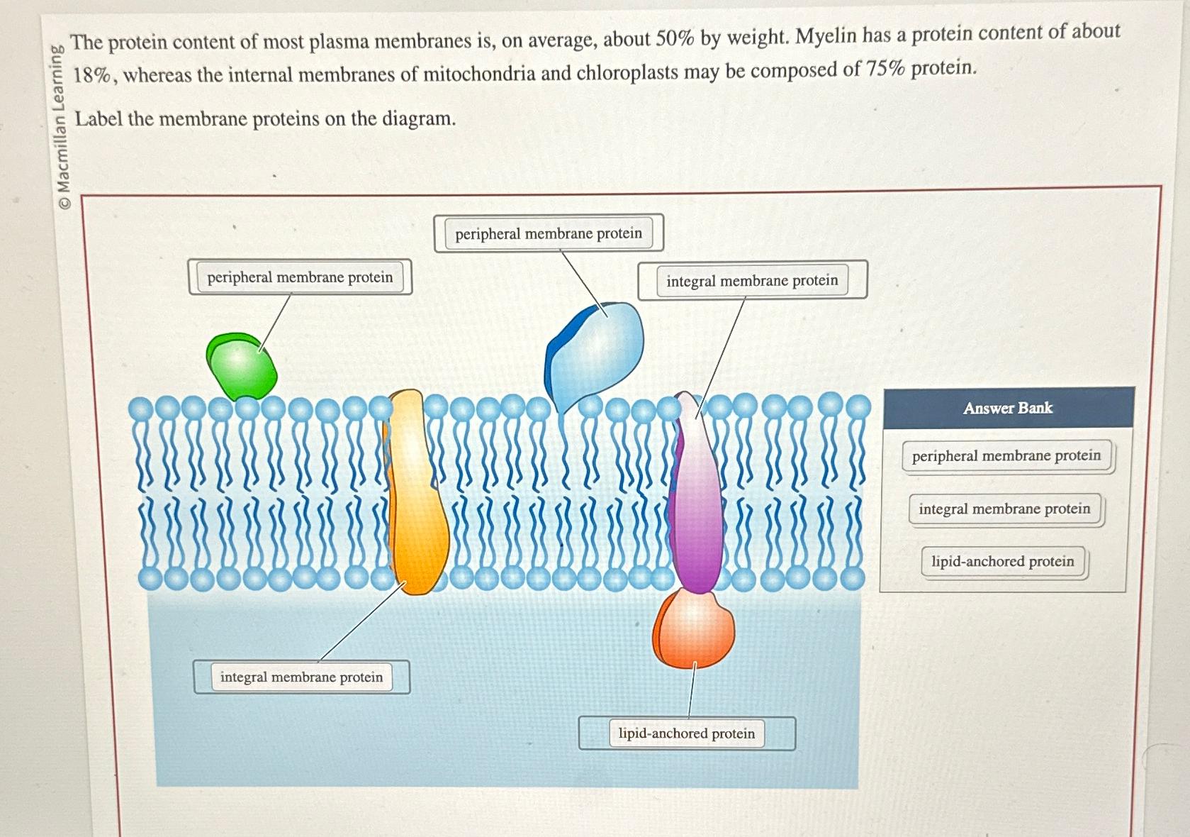 Solved The protein content of most plasma membranes is, ﻿on | Chegg.com