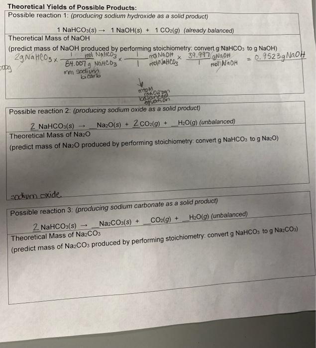 Solved Theoretical Yields of Possible Products: Possible | Chegg.com
