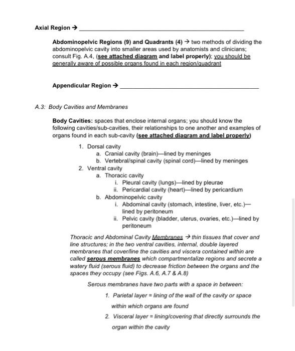 Axial Region → Abdominopelvic Regions (9) and | Chegg.com