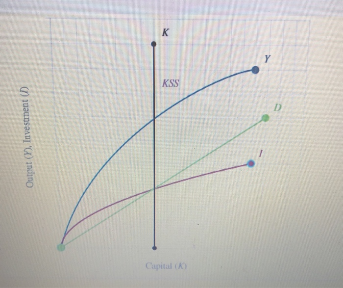 Solved Growth, Capital, Accumulation, and the Economics of | Chegg.com