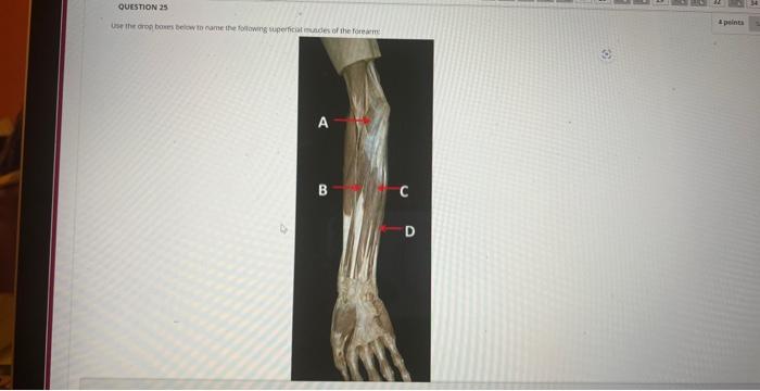 Solved QUESTON 25 | Chegg.com