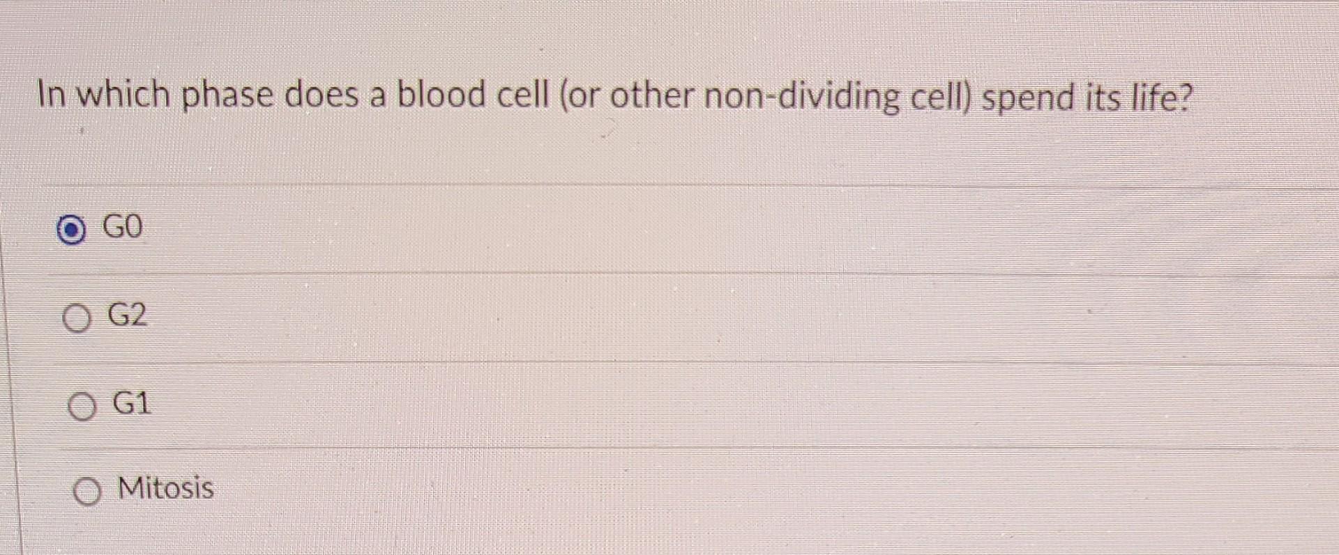 Solved in which phase does a blood cell (or other | Chegg.com