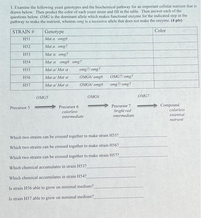 Solved 1. Examine the following yeast genotypes and the | Chegg.com