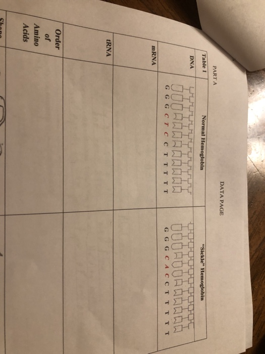 Solved PARTA DATA PAGE Table 1 Normal Hemoglobin DNA | Chegg.com