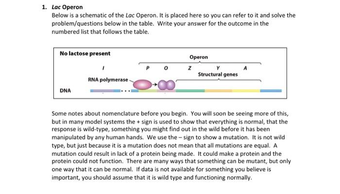 Solved Lac Operon Below is a schematic of the Lac Operon. It | Chegg.com