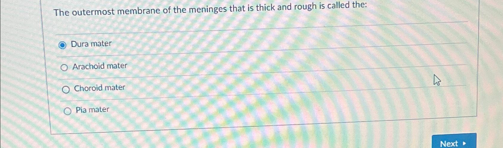 The outermost membrane of the meninges that is thick | Chegg.com