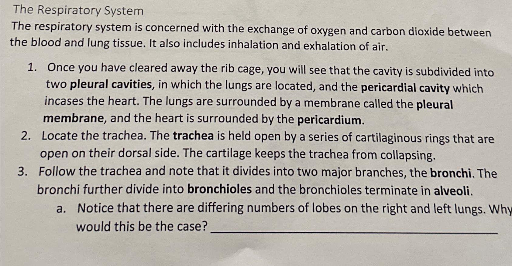 Solved The Respiratory SystemThe respiratory system is | Chegg.com
