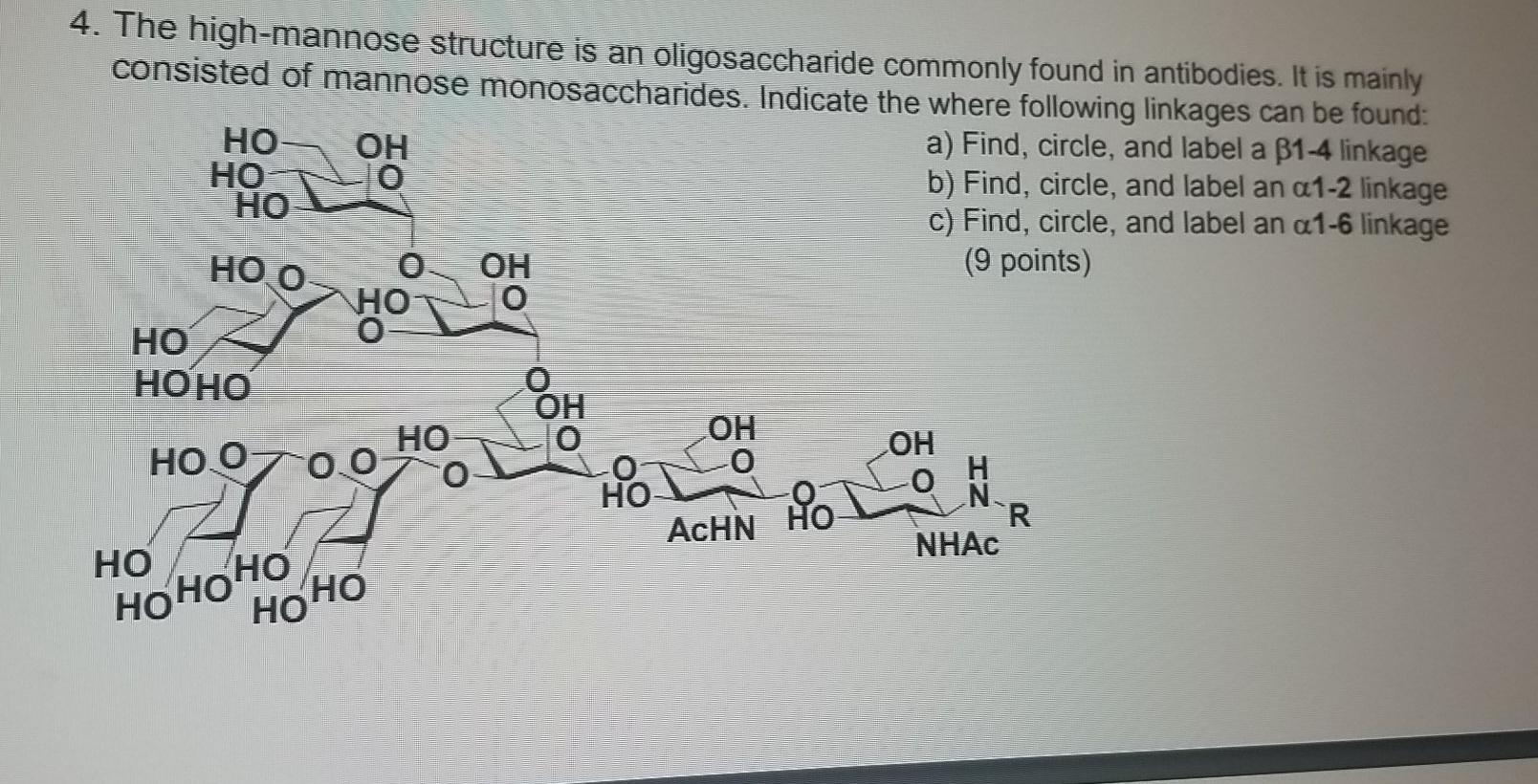 Solved НО 0 4. The high-mannose structure is an | Chegg.com