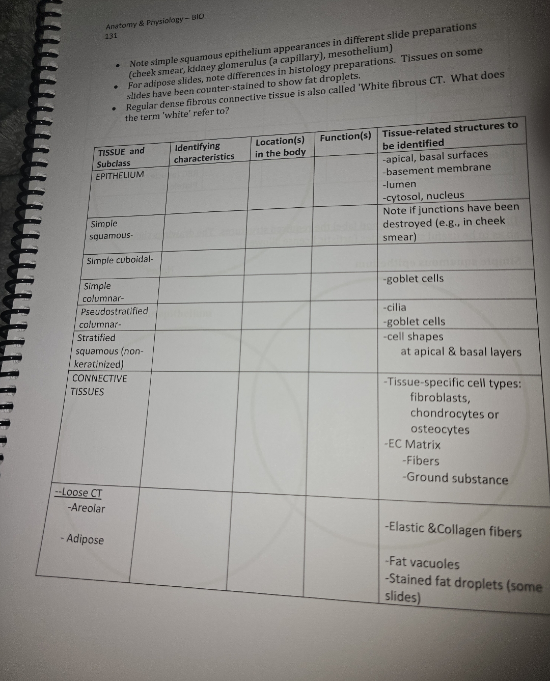 Solved Anatomy & Physiology - ﻿BIO131Note simple squamous | Chegg.com