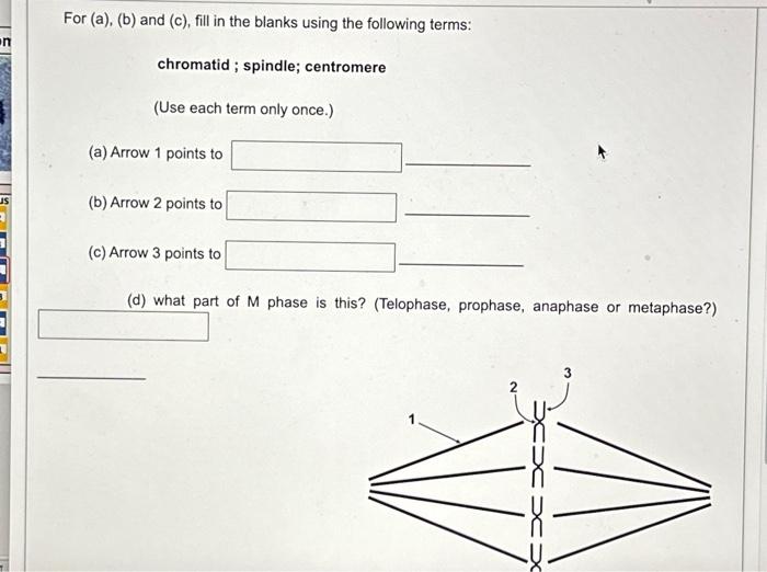 For (a), (b) and (c), fill in the blanks using the | Chegg.com