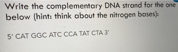 Solved Write the complementary DNA strand for the one below | Chegg.com