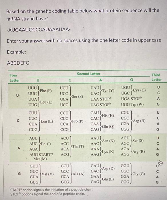 Solved Based on the genetic coding table below what protein | Chegg.com
