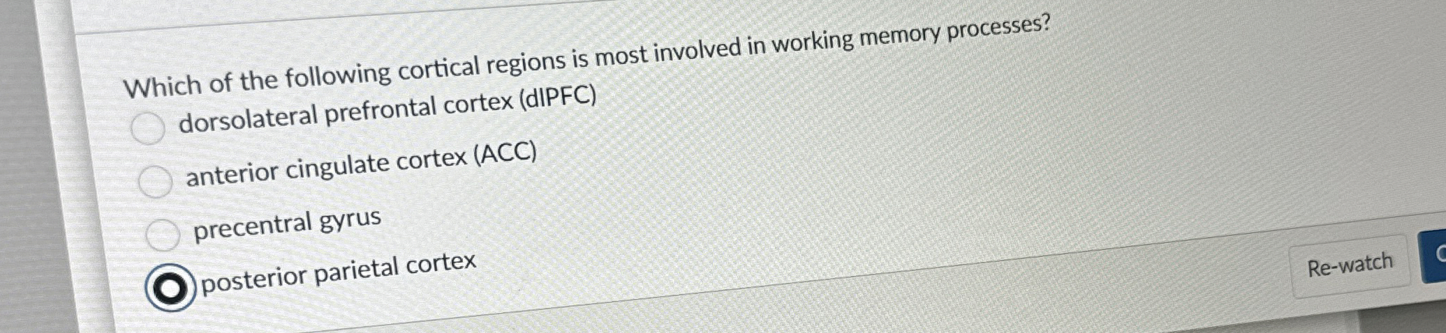 Solved Which of the following cortical regions is most | Chegg.com
