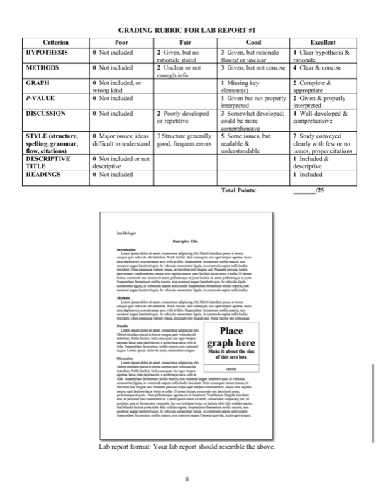 create a lab report based on the rubric and example | Chegg.com