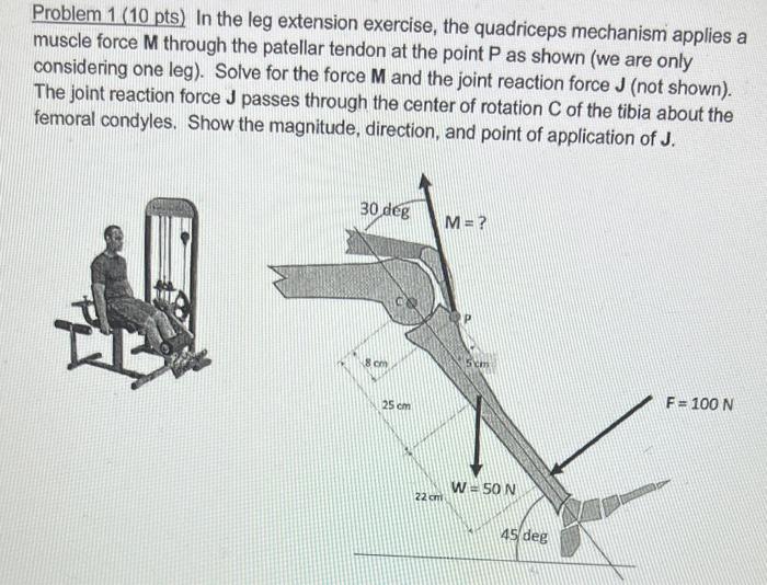 Solved Problem 1 (10 pts) In the leg extension exercise, the | Chegg.com