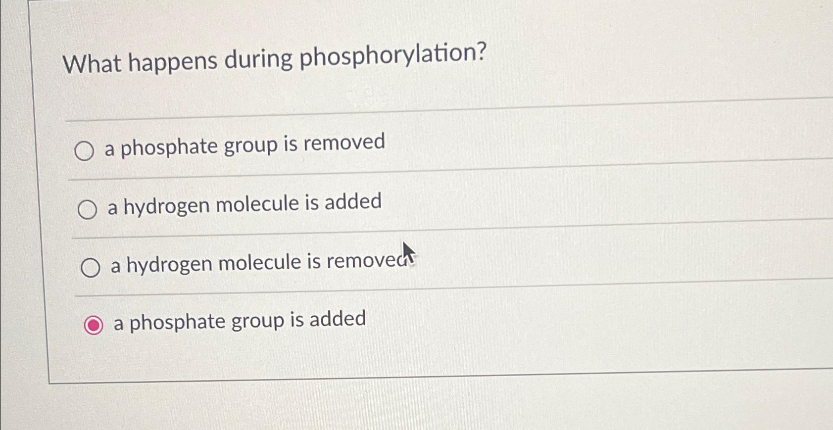 Solved What happens during phosphorylation?a phosphate group | Chegg.com