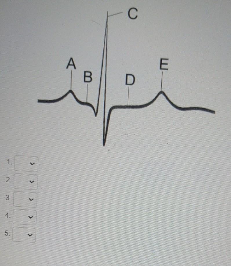 Solved Nat link ench part of the waveform ze ale cardine | Chegg.com