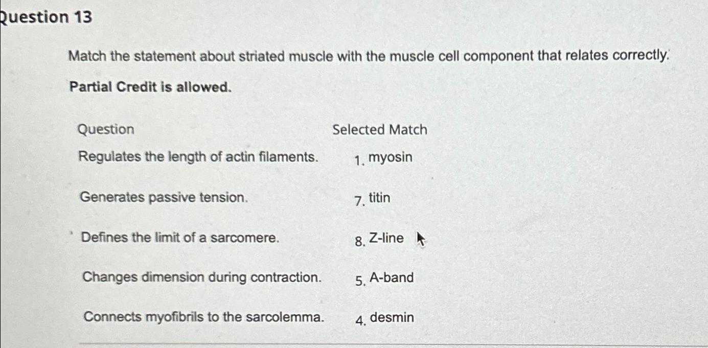 Solved Question 13Match the statement about striated muscle | Chegg.com