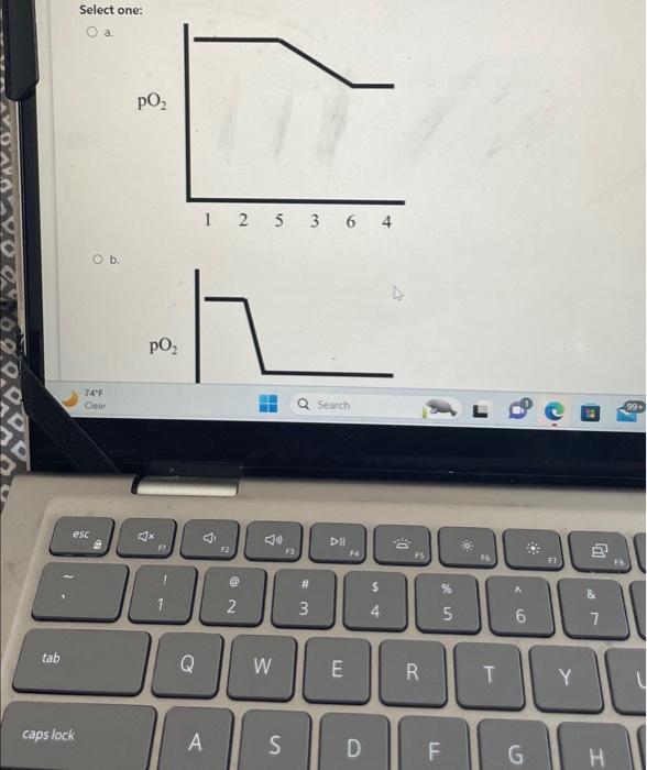 Solved Which graph represents the overall changes in pO₂ in | Chegg.com
