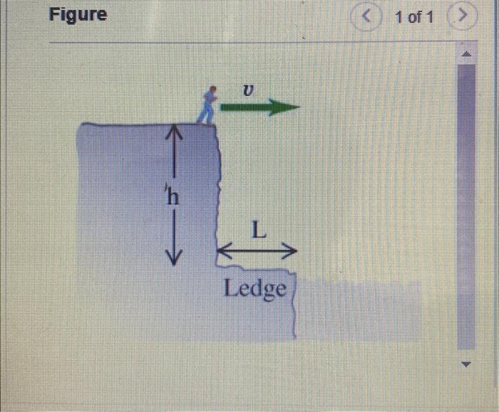 Solved A daring 51 kg swimmer dives off a cliff with a | Chegg.com