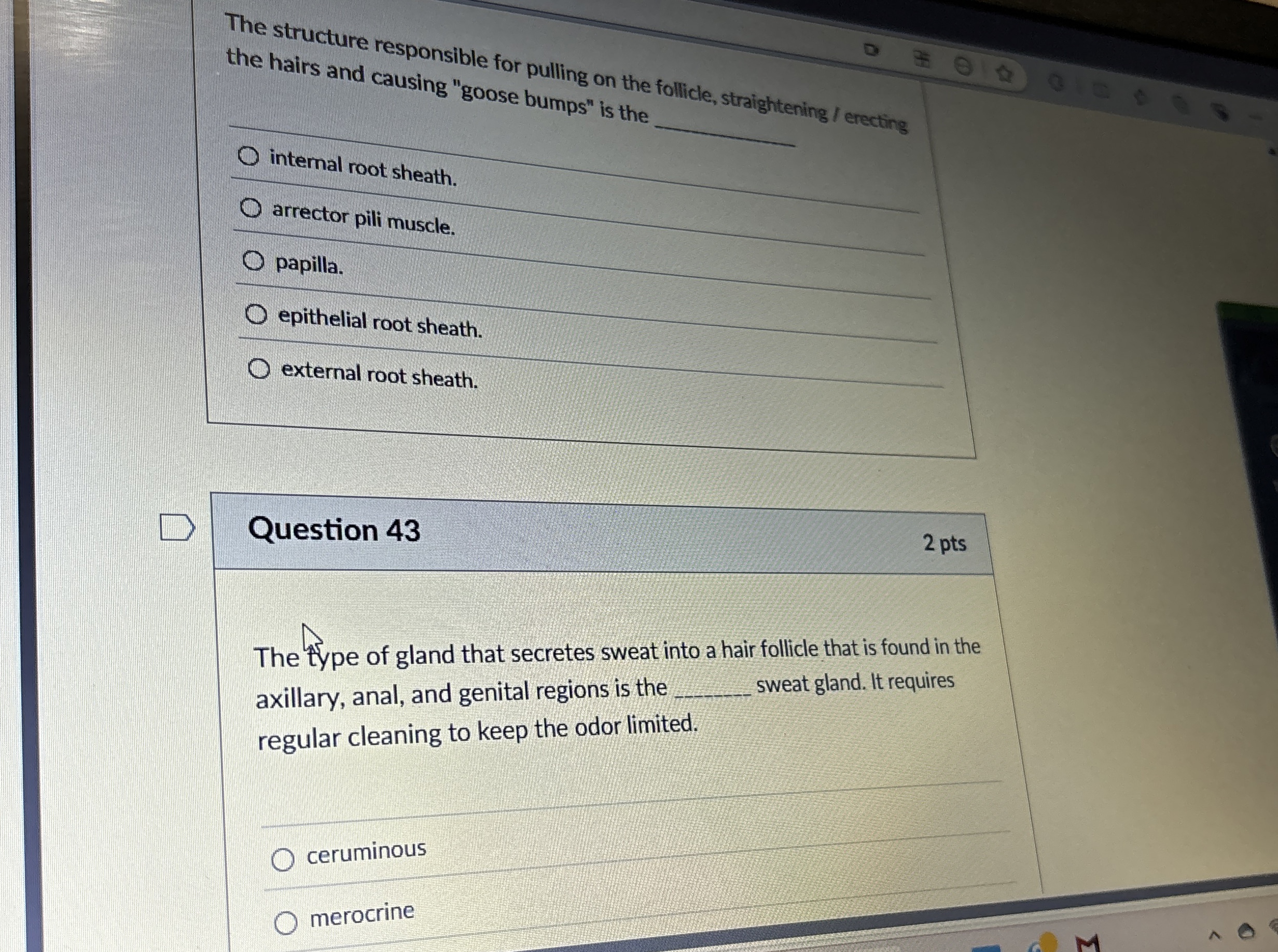 Solved The structure responsible for pulling on the | Chegg.com