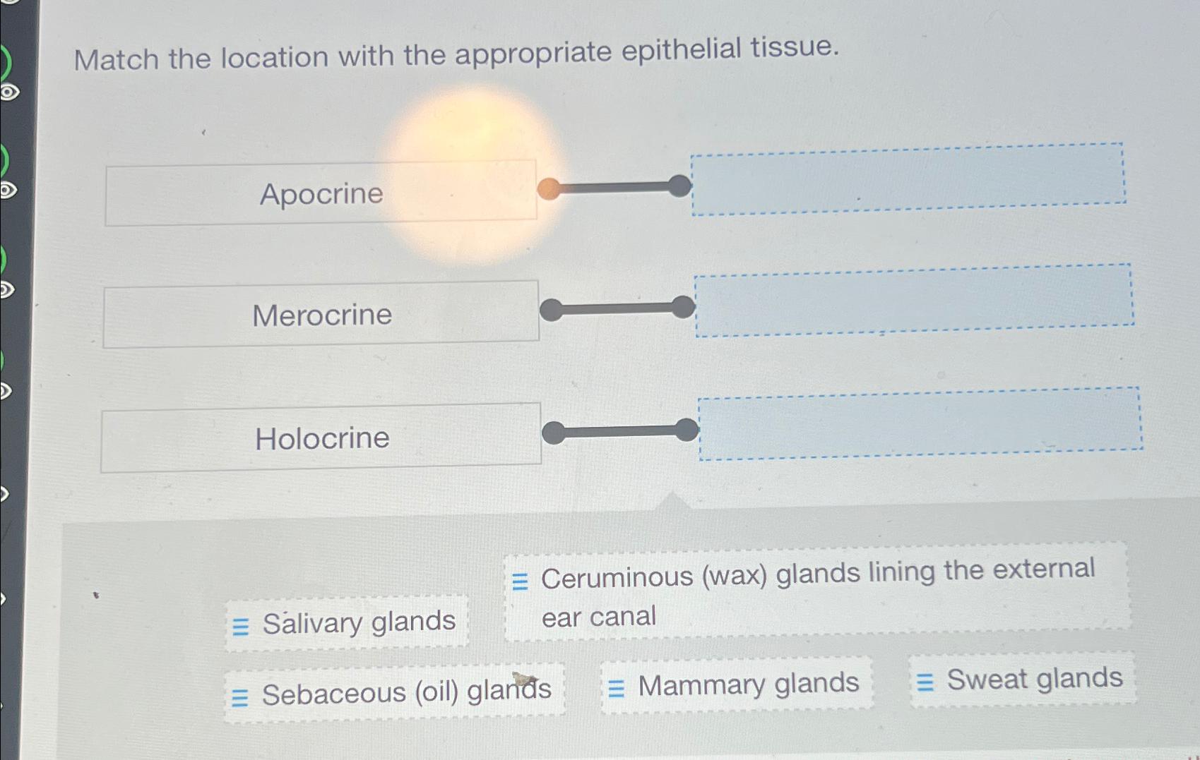 Match the location with the appropriate epithelial | Chegg.com