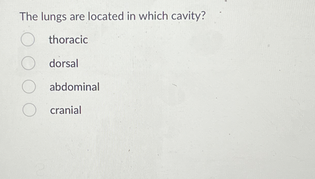 Solved The lungs are located in which | Chegg.com