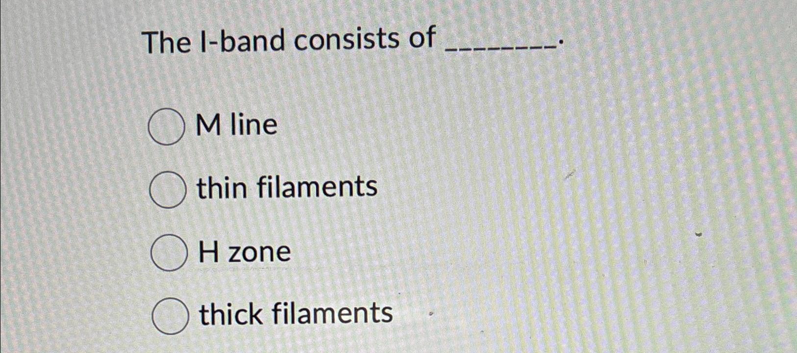 Solved The I-band consists ofM ﻿linethin filamentsH | Chegg.com