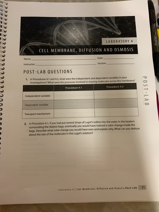 Profile LABORATORY 4 CELL MEMBRANE, DIFFUSION AND | Chegg.com