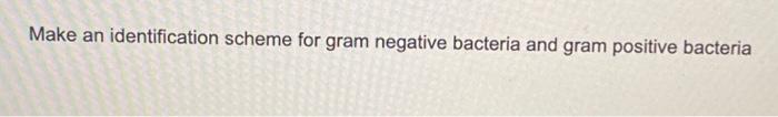 Solved Make an identification scheme for gram negative | Chegg.com